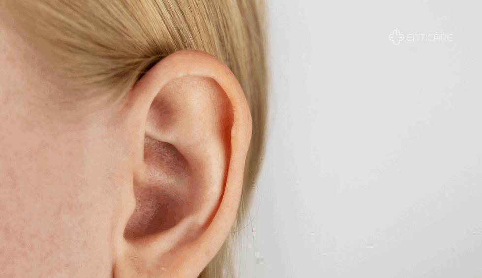 Wet Ear Relief Guide: Causes, Remedies, and When to See a Specialist