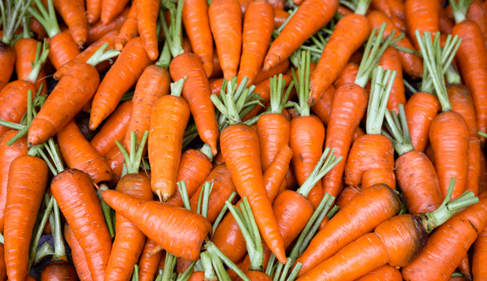 Case Study: Raw Carrot Allergy Caused by Oral Allergy Syndrome