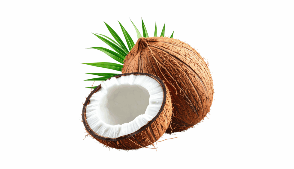 Coconut Allergy Ingredients to Avoid: An Essential Guide for Safety ...